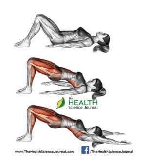 10 Top Yoga for Abs Exercises - The Health Science Journal