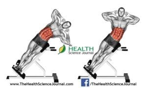 66 Best Ab Workouts for Women and Men! (Part 2) - The Health Science ...