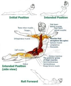 Pilates Swan Dive - Strengthen Back and Core Muscles - The Health ...