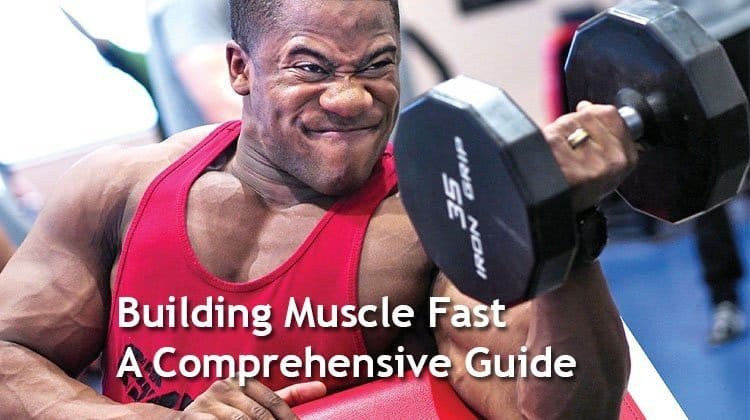 7 Best Tips & Tricks to Building Muscle Fast – A Comprehensive Guide - The Health Science Journal