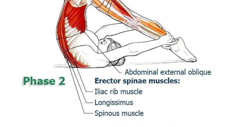 Controlled Balance - Back and Spine Exercises, Part 7 - The Health ...