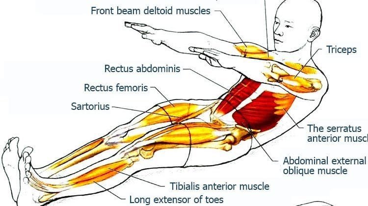 Roll-Up - Abdominal Exercises for Spine and Core Stabilization, Part 2 ...