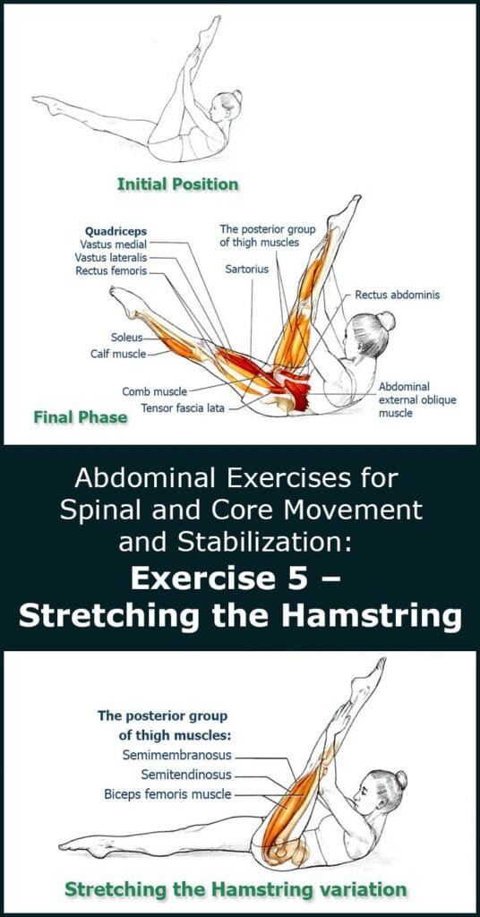 Stretching the Hamstring - Abdominal Exercises for Core Stabilization ...