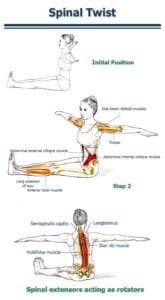 This Simple Exercise Will Cut in Half Your Back & Spine Injury Risk and ...