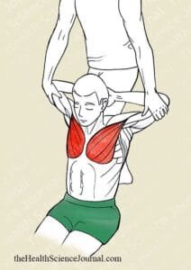 Starting Stretching – 53 Full Body Stretches for Beginners - The Health ...