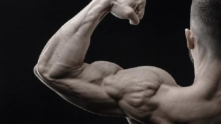 5 Exercises For Bigger Arms - The Health Science Journal