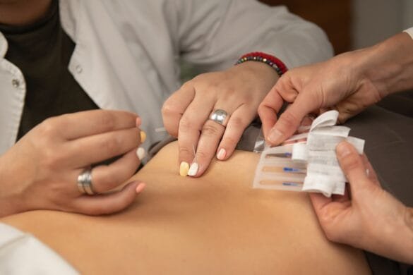 Effects of Drugs and Alcohol on the Body - The Health Science Journal